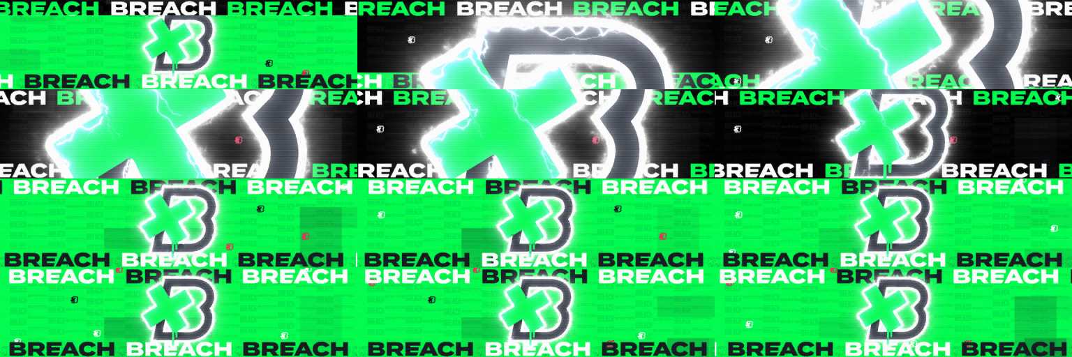 Boston Breach Team Pack 2024 | Modern Warfare 3 - STOCKPILE COD Bundle ...