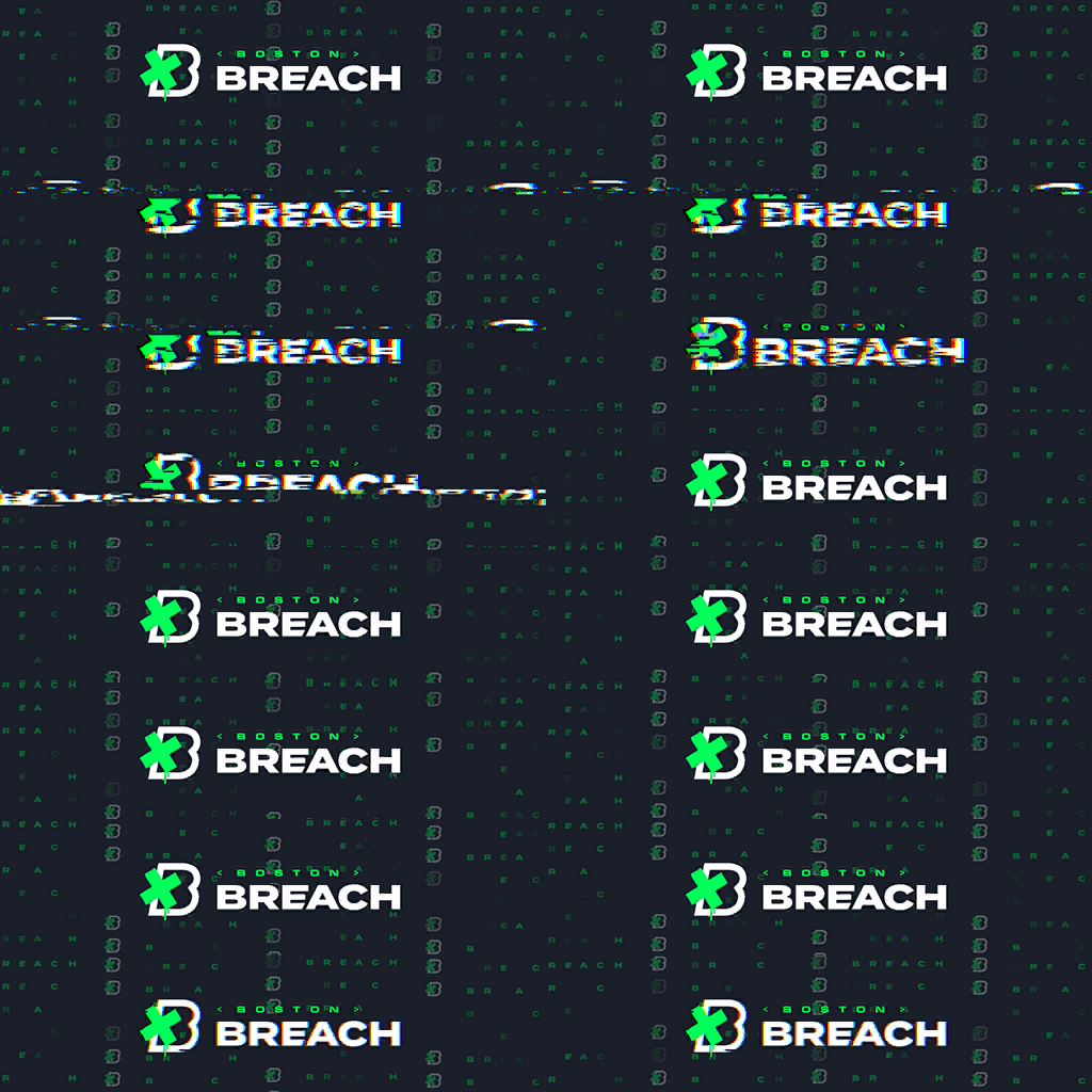 Boston Breach Team Pack | Modern Warfare 2 - STOCKPILE COD Bundle Tracker
