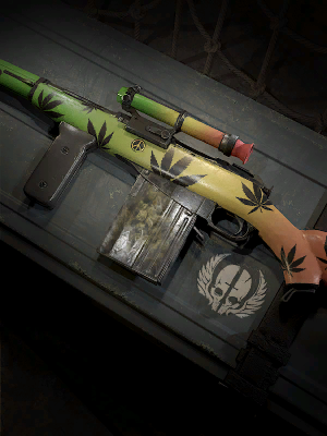 Tracer Pack: Snoop Dogg Operator Bundle | Vanguard - STOCKPILE COD ...